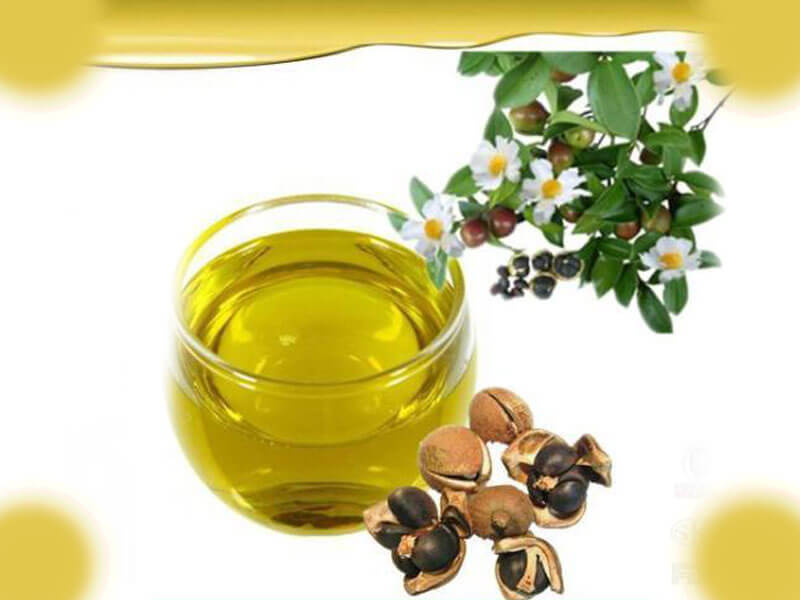 Discovering the Benefits of Camellia Oil - Free Bunni