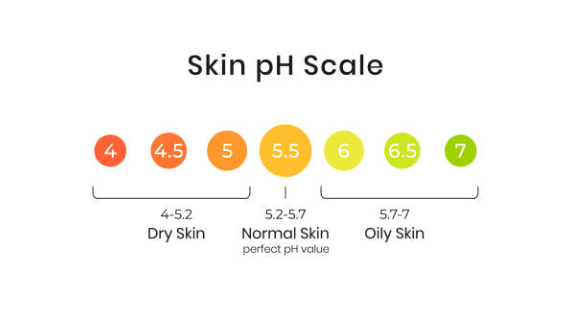 Exploring the Impact of Bacteria on Healthy Skin Function - Free Bunni