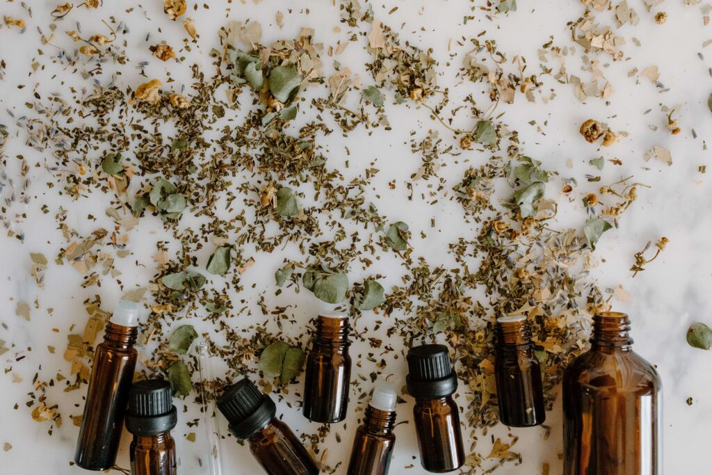 How to Make Your Own Rosehip Facial Toner at Home - Free Bunni