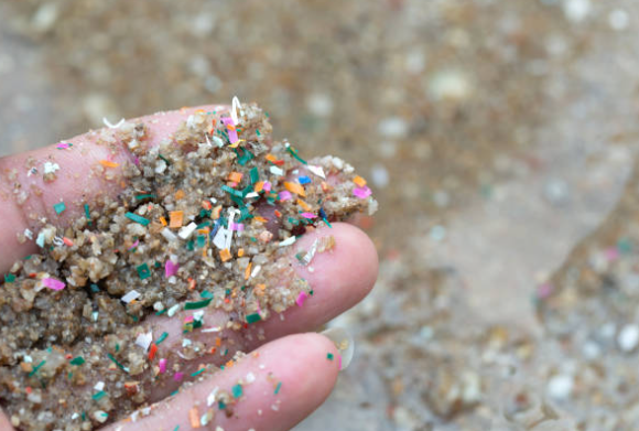 The Impact of Personal Care Animal Testing on Marine Life - Free Bunni