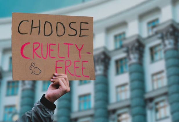 Eye Irritation Tests on Rabbits - Free Bunni