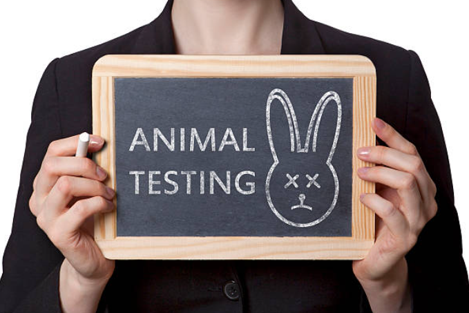 The Lives of Lab Bunnies Used in Cosmetic Testing - Free Bunni