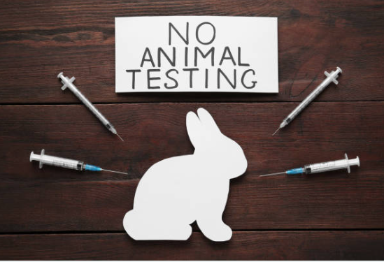 The Lives of Lab Bunnies Used in Cosmetic Testing - Free Bunni