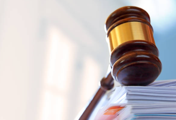 The Role of Legislation in Promoting Cruelty-Free Beauty - Free Bunni