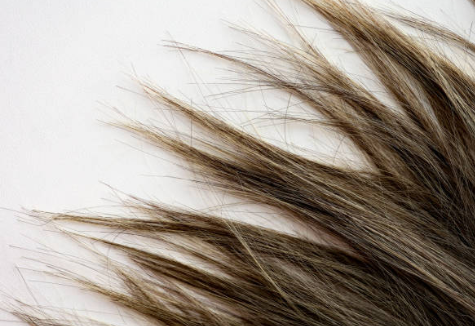 Understanding What's Behind Dry Hair - Free Bunni